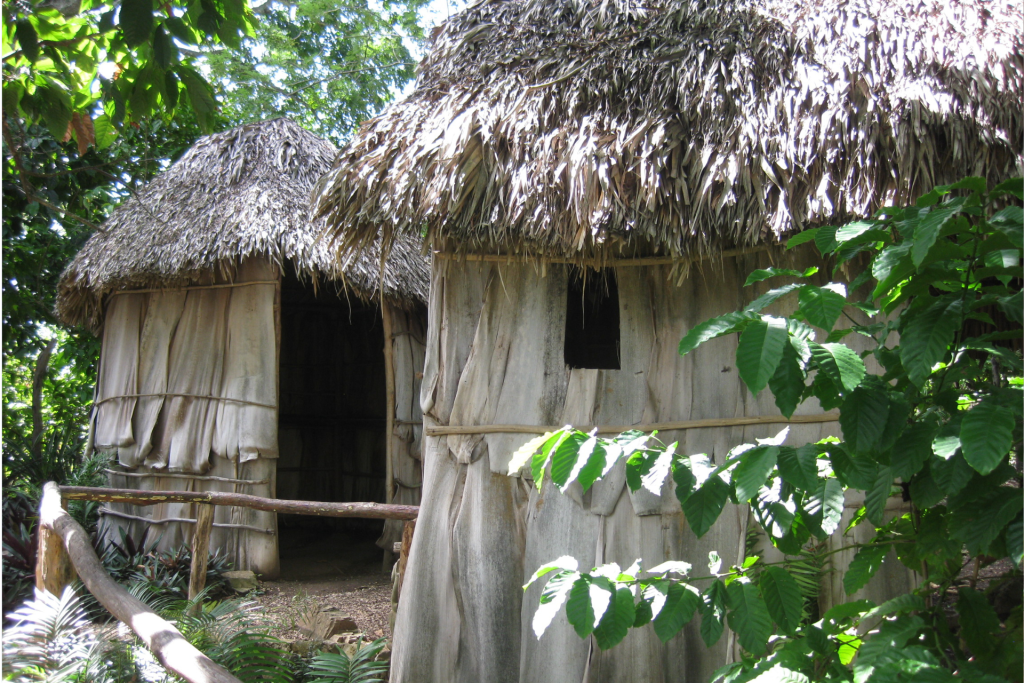 The Taino Language Lives On - PUERTO RICO REPORT